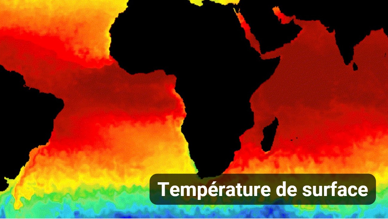 Analyse géospatiale: Arkeup GIS, partenaire Google Earth Engine